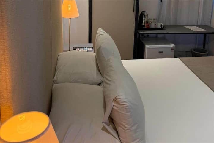 Queen Concept | Esplendor Cervantes | Art Scene - Montevideo