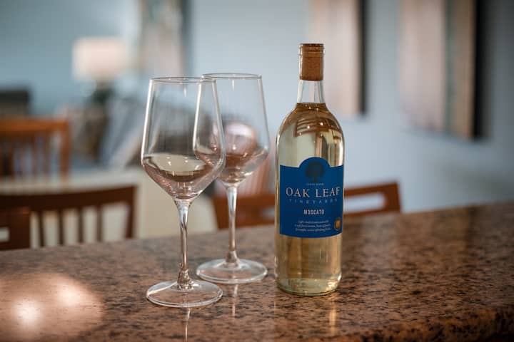 Updated 2br/1.5ba | Walk To Beach - Treasure Island, FL