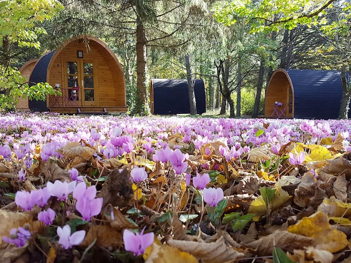 Les Cabanes Des Chateaux - Chaumont-sur-Loire