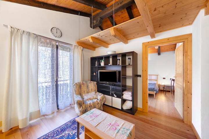 Ginepro Verde Apartment - Forni di Sopra