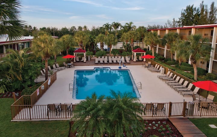 2 Spacious Modern Suites 2 Miles From Naples Beach - Naples, FL