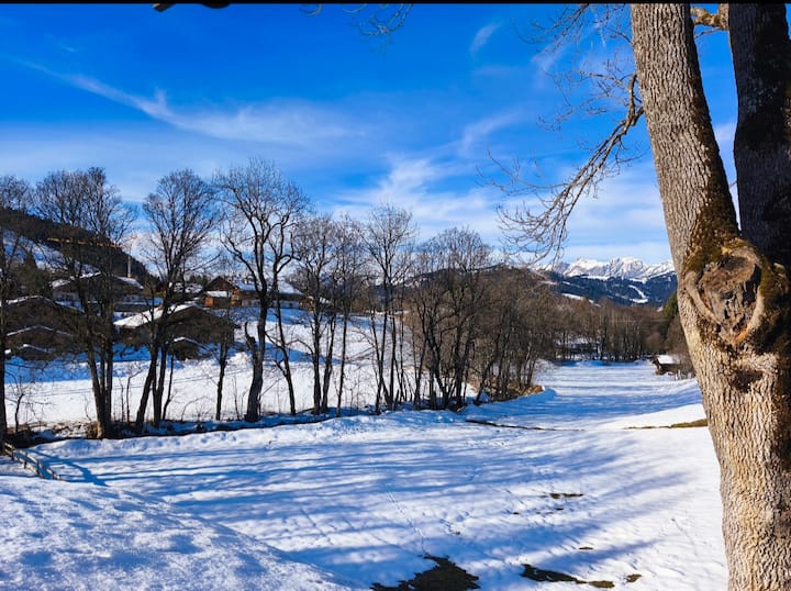 Séjournez Dans Un Chalet De Montagne Idéal ! - Megève