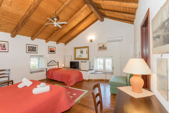 Case Zuccaro - Pitosporum - Zafferana Etnea