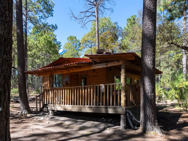 Cozy Cabin In The Forest In Mexiquillo Park - Durango