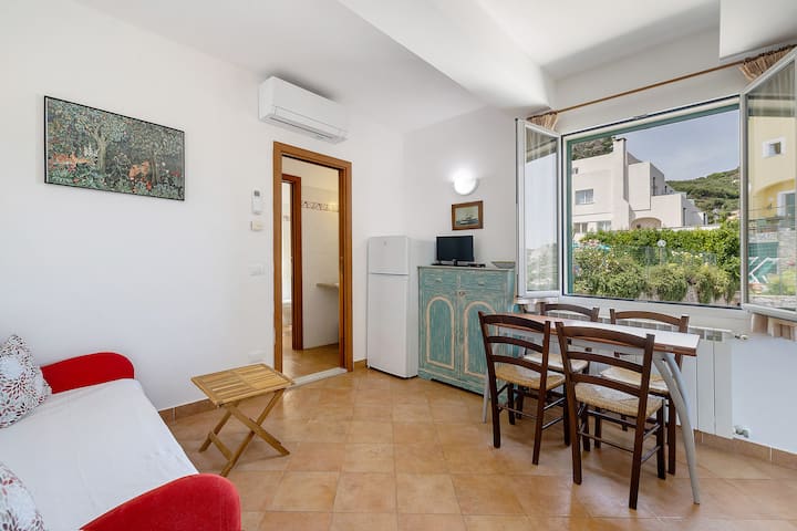 La Realidad 7 - Noli