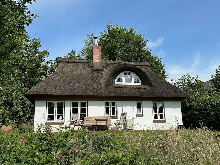 Kate Unter Reet Im Grünen - Wacken