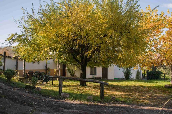 Granados - Fuenteheridos