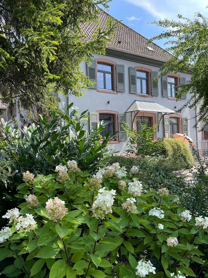 Pfarrgarten - Kippenheim