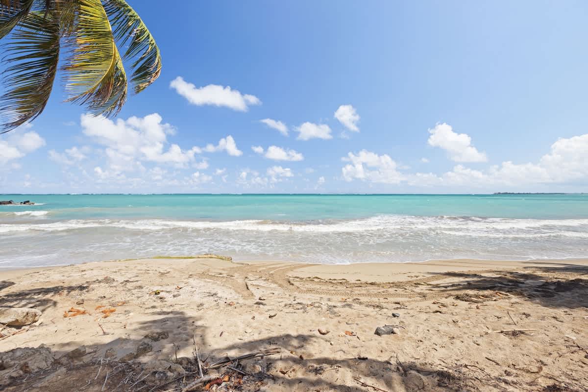 Luxurious Oceanfront Retreat | Seaside | Otium - Flats for Rent in ...