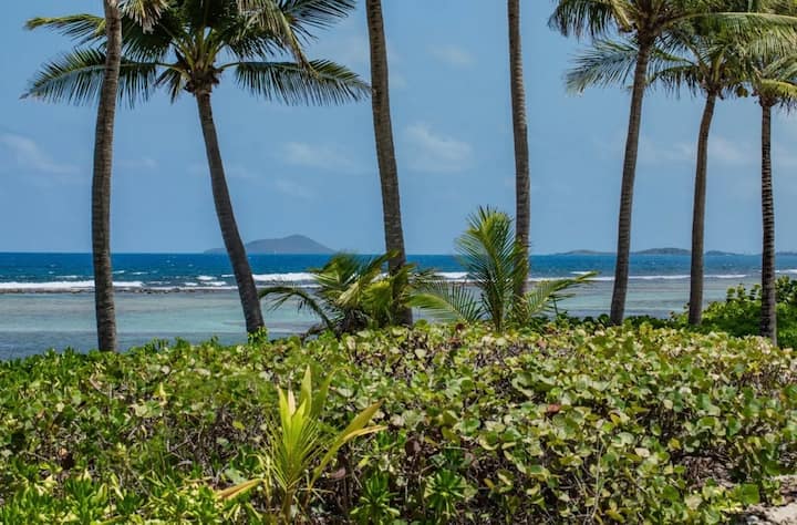 A Turtle Cove! Enjoy Paradise! - Kingshill