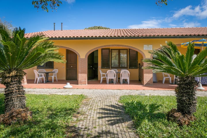 Il Girasole - Fico D'india - Campiglia Marittima