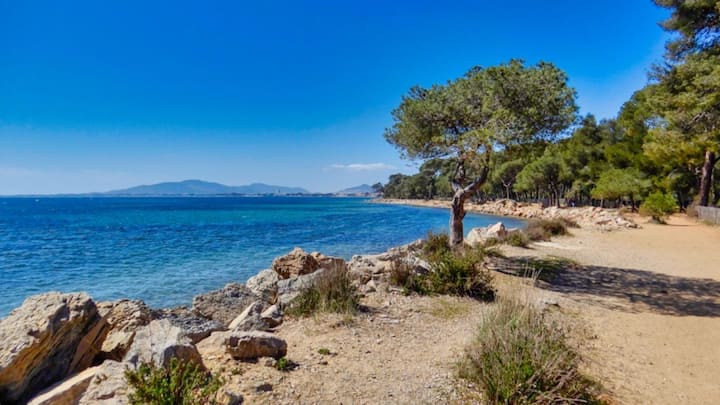 Zecamping 3* Mobil Home 26m² 200m Plage - Île de Porquerolles