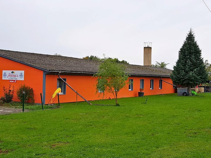 Maison D'hôtes Familiale Dans L'oderbruch - Seelow