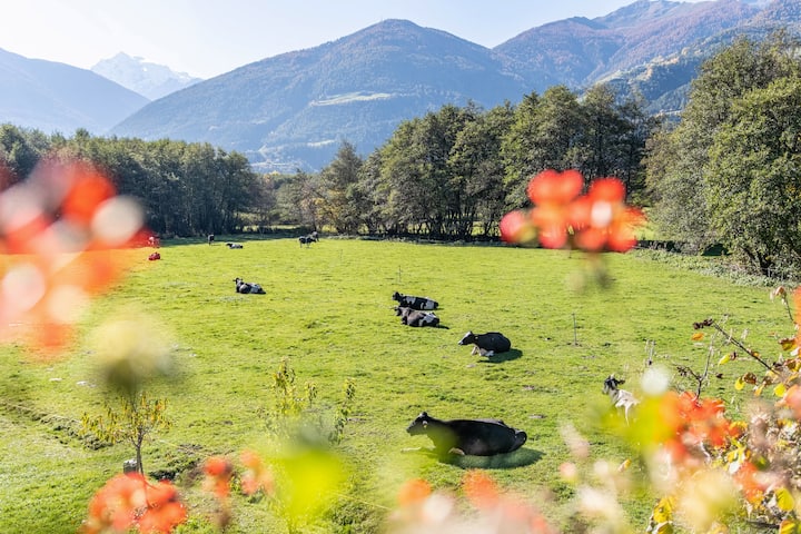 Hausergut Bonita 4 - Watles