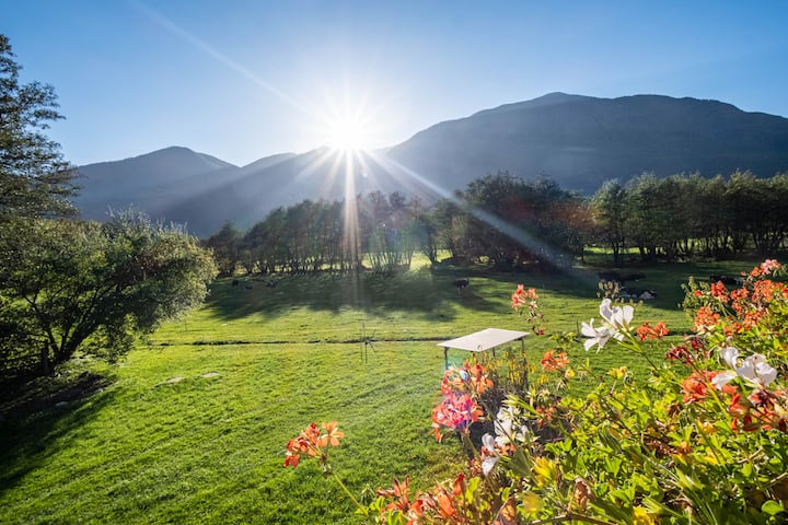 Hausergut Topaz - Stelvio