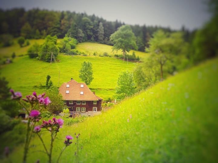 Ferienwohnung Teich 11, 126qm - Furtwangen