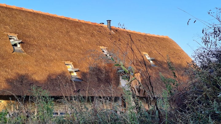 La Chaumière - Neuvic