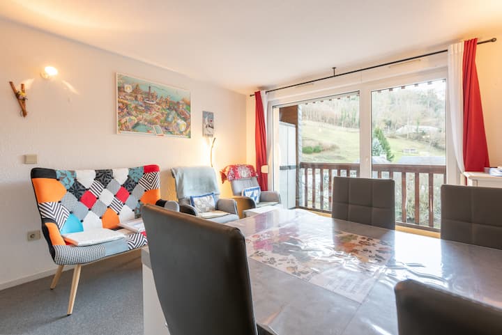 Le Duplex Des Neiges - Saint-lary - Saint-Lary-Soulan