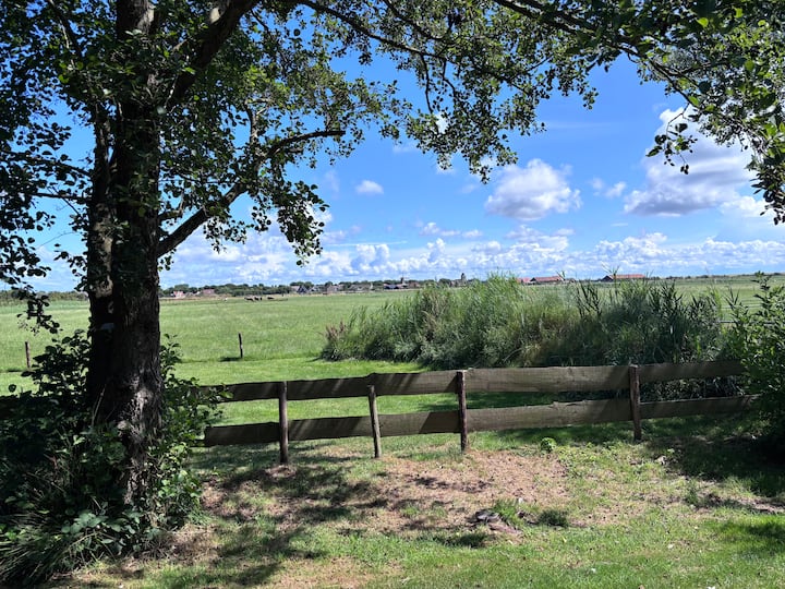 Rixt Van Donia - Ameland