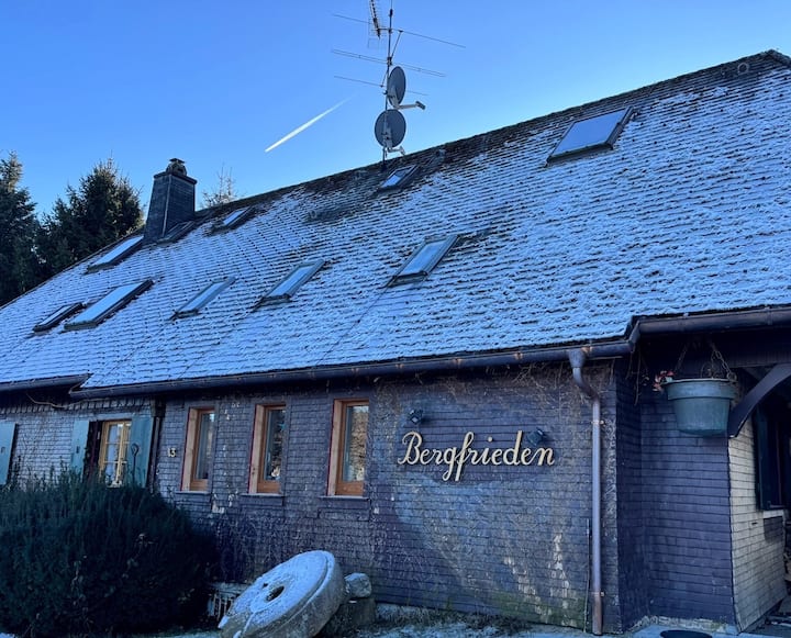 Ferienwohnung "Bergfrieden", Hinterzarten (296845) - Hinterzarten