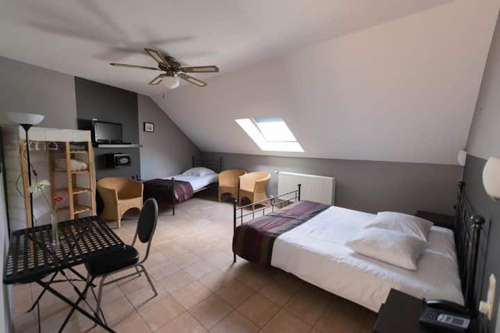 Chambre Triple Dans Hotel-restaurant Authentique - Dinant