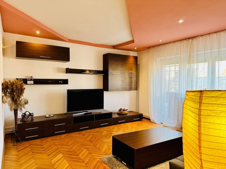 Joy City Stay ! Very Big Apt ! Ofcea 17 - Timișoara