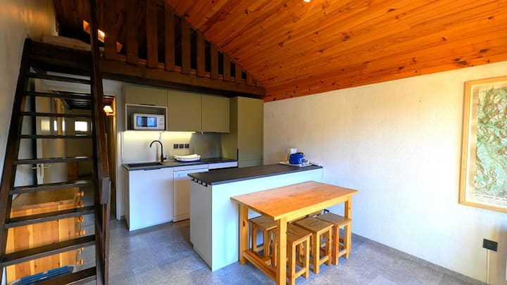 Agréable Appartement De Montagne 6 Personnes - Puy-Saint-Vincent