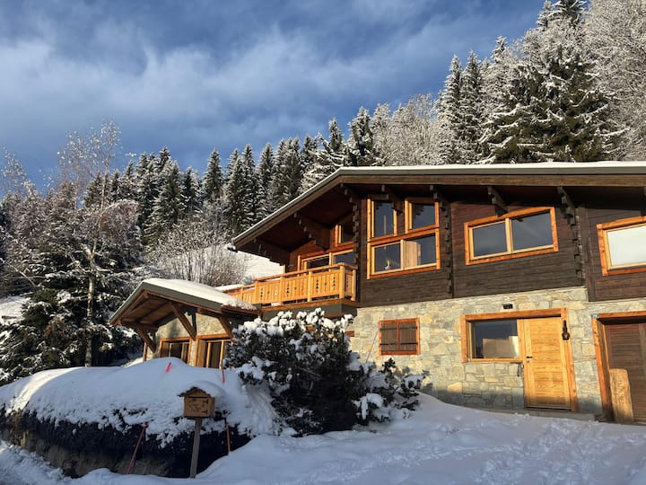 Chalet Mélèze - Les Gets - La Massouderie - Les Gets