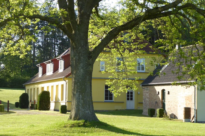 Gut Rattelvitz - Galerie West - Gingst