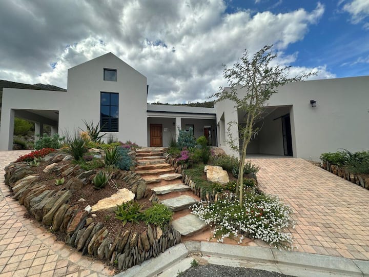 Mountain Aloe - Montagu