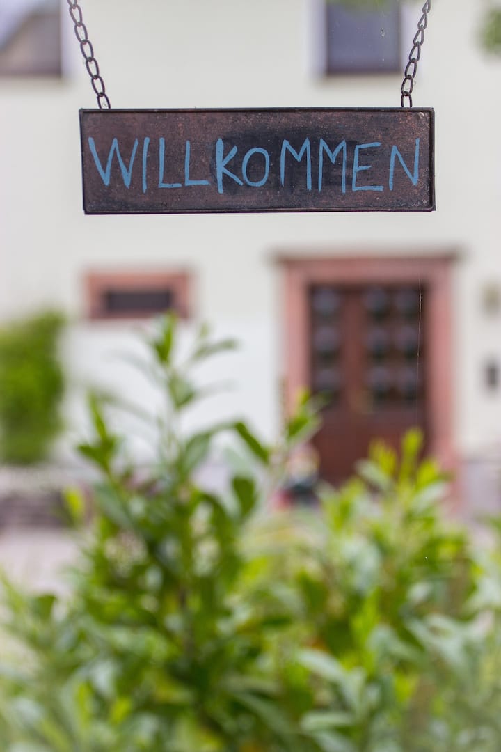 Ferienwohnung Rochlitzer Berg Blick - Rochlitz