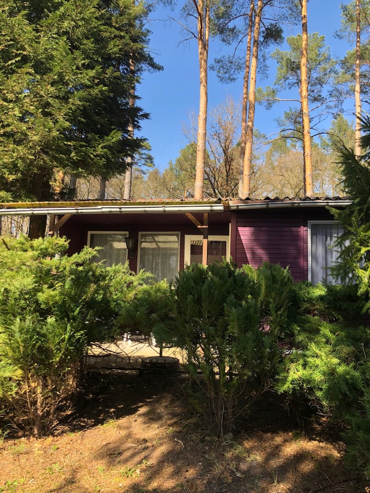 Bunte 8 - Rheinsberg