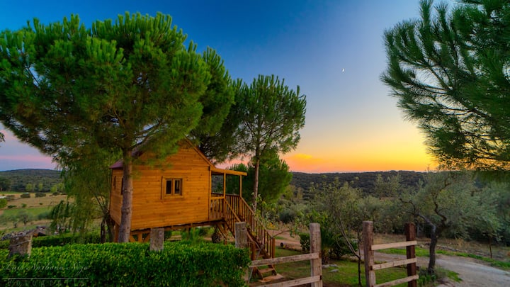 Cortijo Señora De Las Angustias 2 - Cazalla de la Sierra