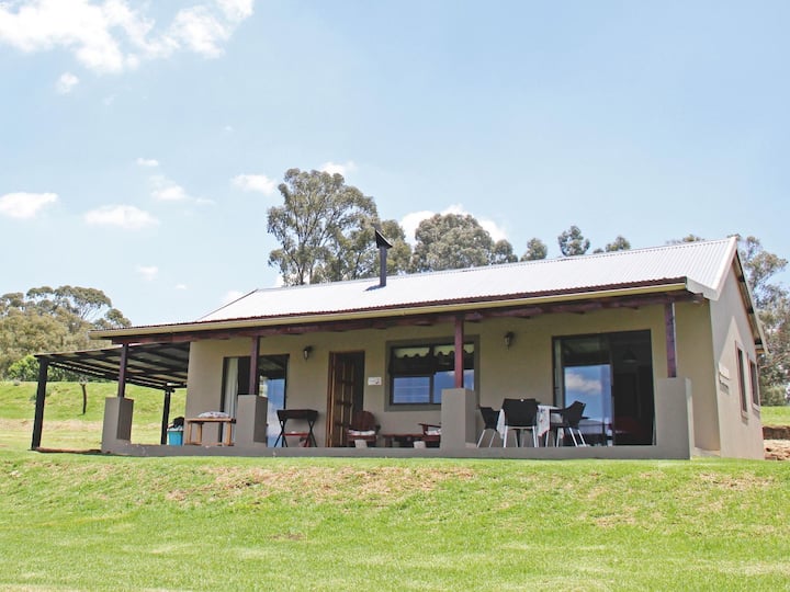 Freckled Frog - Wakkerstroom