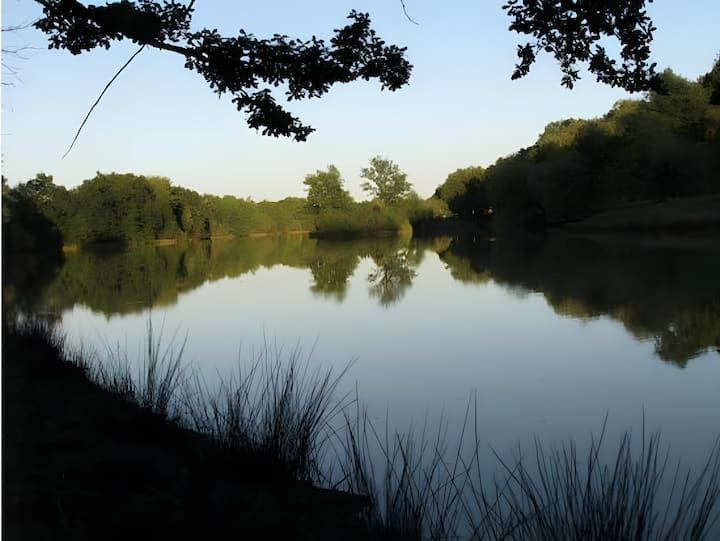 Chalet Club 5 Personnes 88 - Eauze