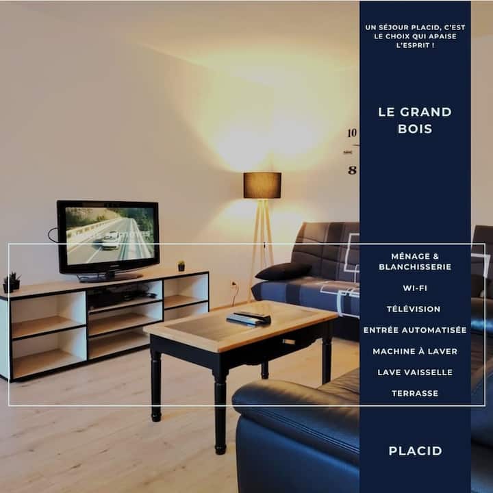 Les Grands Bois - Wi-fi - Terrasse - Rdc - 가프