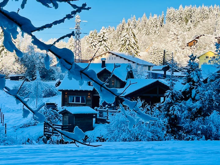 Chalet Les Prés Chaussottes - La Bresse