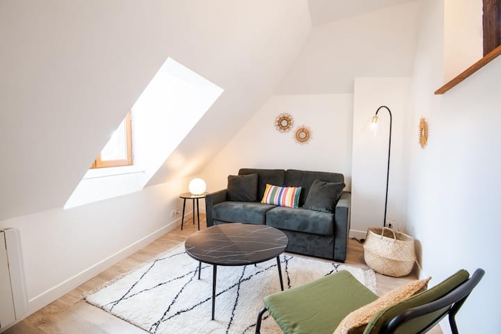 Le Quai Des Marais - Coeur D'amboise - Amboise