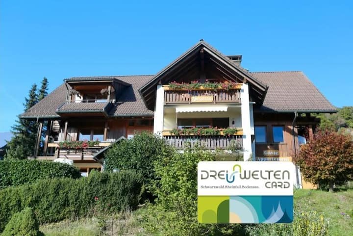 Ferienwohnung Ahorn - Todtnau