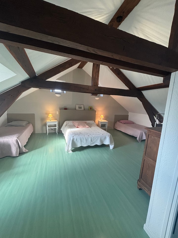 Chambre Verte - Vic-en-Bigorre