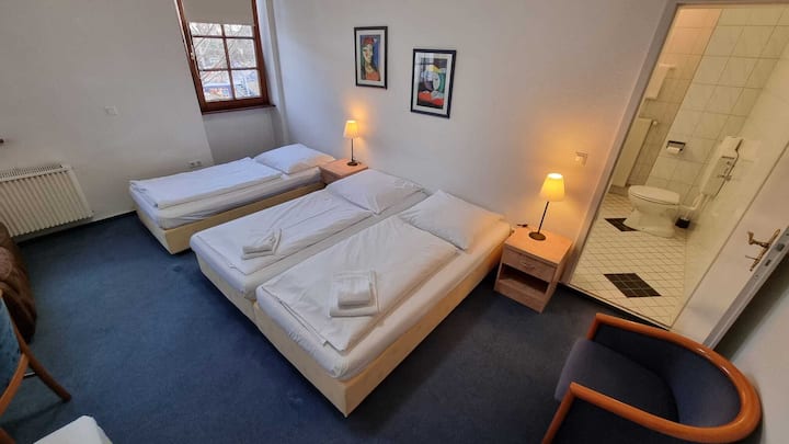 Quadruple-confort-salle De Bain Privée-vue Ville - Mannheim