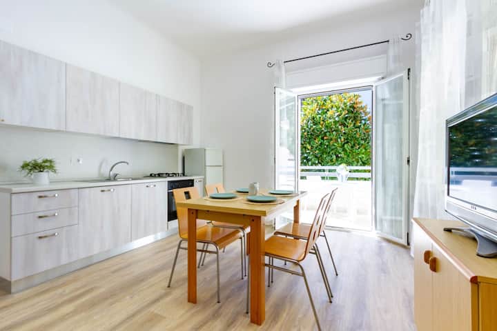 Rosa Int 3 - Giulianova