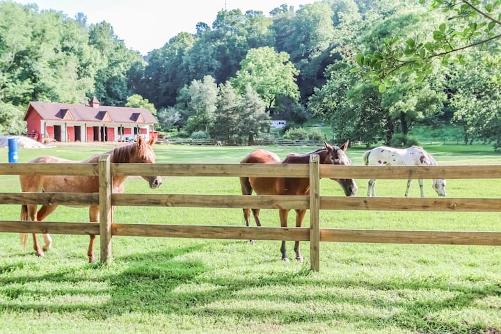 Spacious 2br Condo Walk To Downtown Helen - Helen, GA