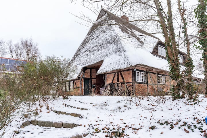 Ole Schün Dannau - Wangels