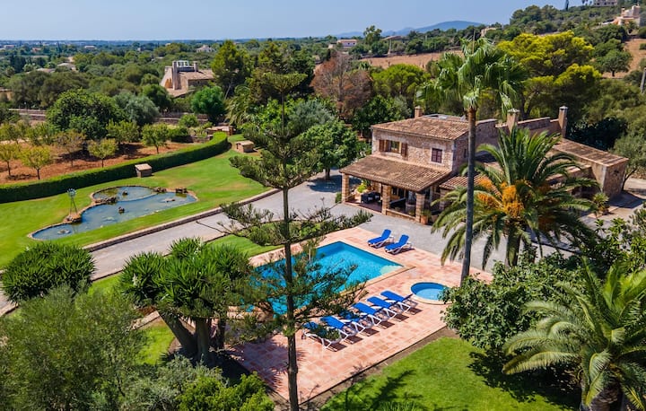 Bosco - Cala Millor
