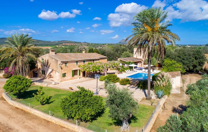 Conies Vell - Manacor