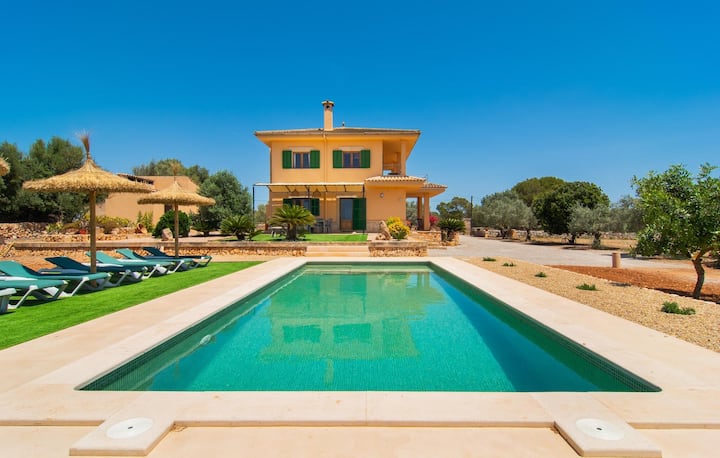 Hort De Can Rafalet - Colònia de Sant Jordi