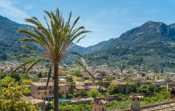 Arbona Soller - Sóller