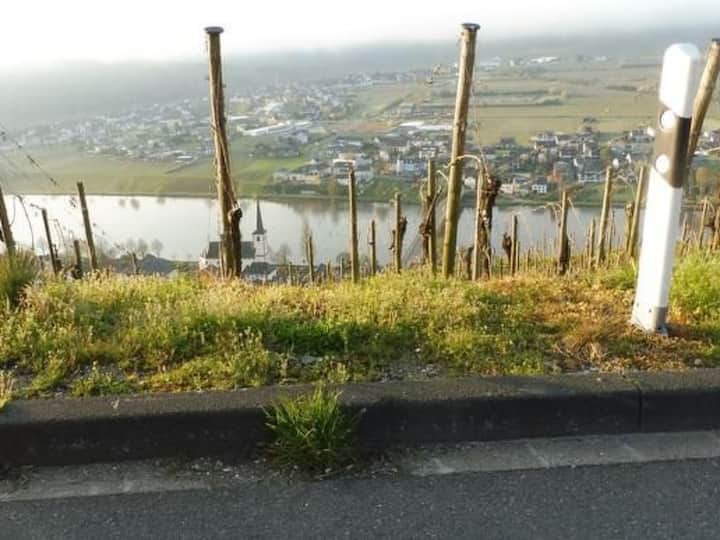 Berkele By Interhome - Leiwen