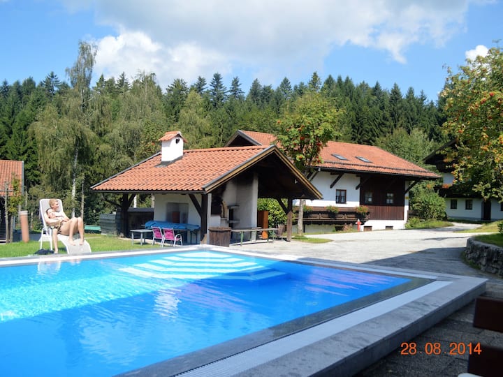 Wohnung Adalbert Stifter Im Bayerischen Wald - Hauzenberg